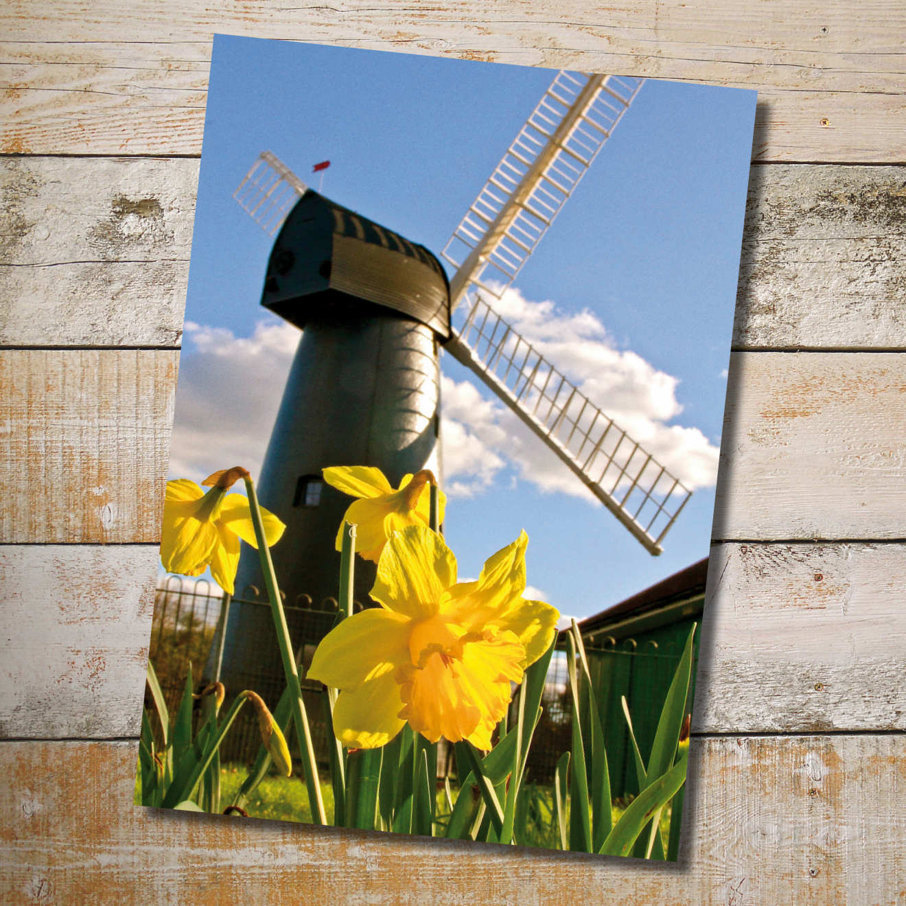Seasons Greeting Card Single Brixton Windmill Education Centre Seasons Greeting Card Single Brixton Windmill Education Centre