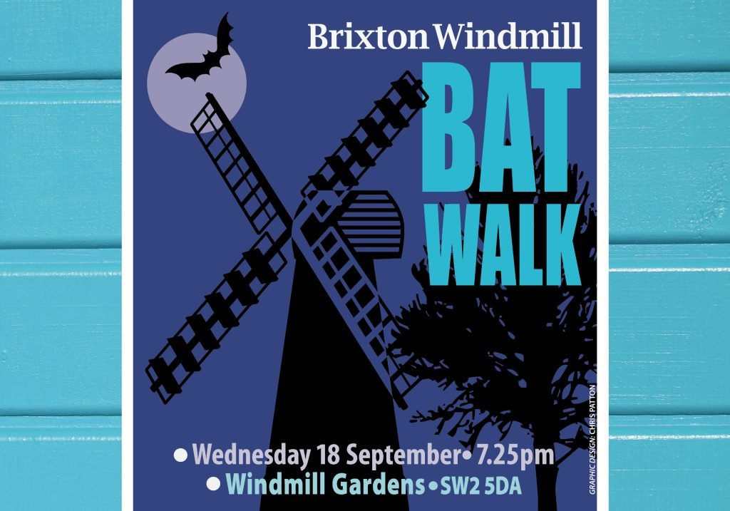 Free Bat Walk with Dr Iain Boulton | Brixton Windmill & Education Centre